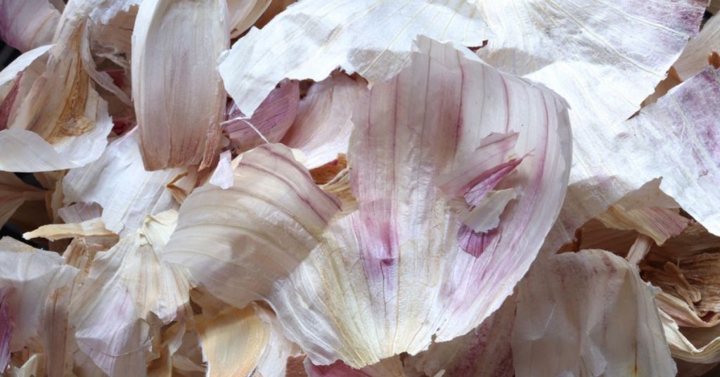 Recycler les épluchures d'ail pour un jardin en pleine santé