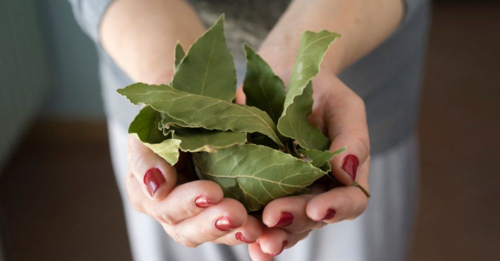 Jardiner en septembre : que faire au jardin, au potager et au verger ...