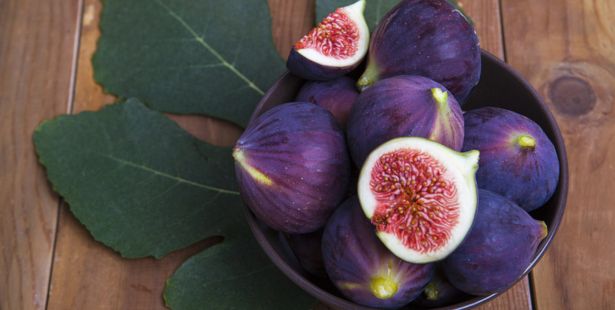 Faire pousser un figuier à partir d'une figue : transformer un simple ...