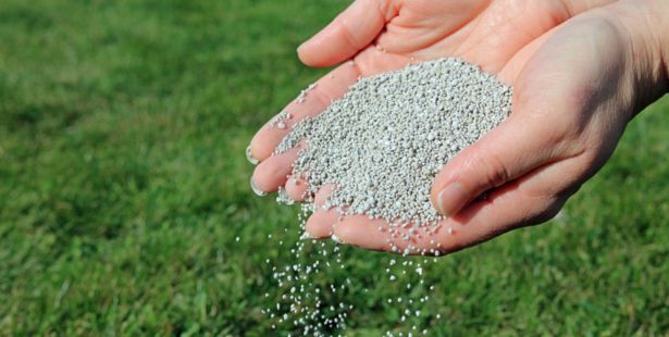 Sabler la pelouse pour rajeunir son gazon : tout savoir sur cette ...