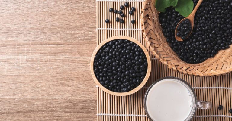 Les haricots noirs, légumineuses riches en bienfaits pour de nombreuses ...