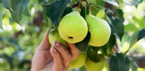Jardiner en septembre : les gestes incontournables pour préparer l ...