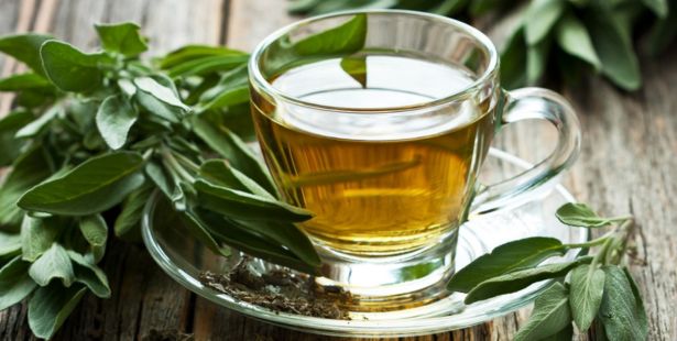 Quand récolter et comment utiliser la sauge fraîche du jardin