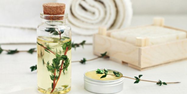 Le thym, un trésor du jardin aux multiples usages : secrets de récolte ...