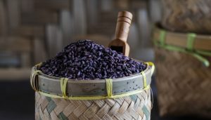 Les secrets du riz noir : bienfaits et idées recettes