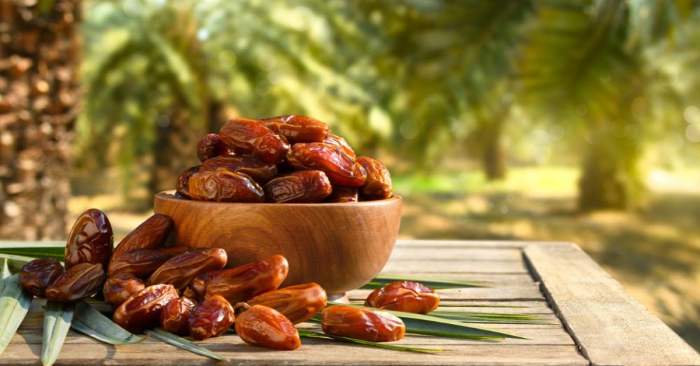 Comment faire germer un noyau de datte
