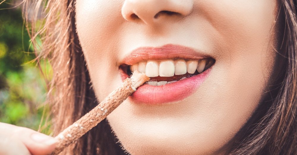 Comment faire germer un noyau de datte