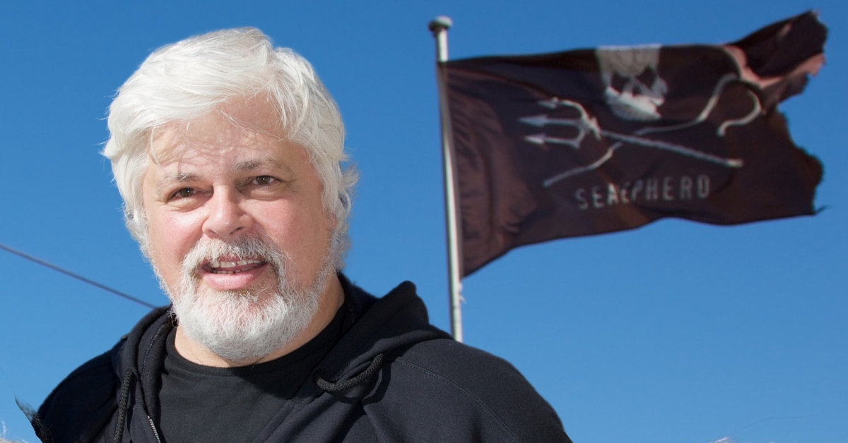 Arrestation de Paul Watson : un combat pour la préservation des océans