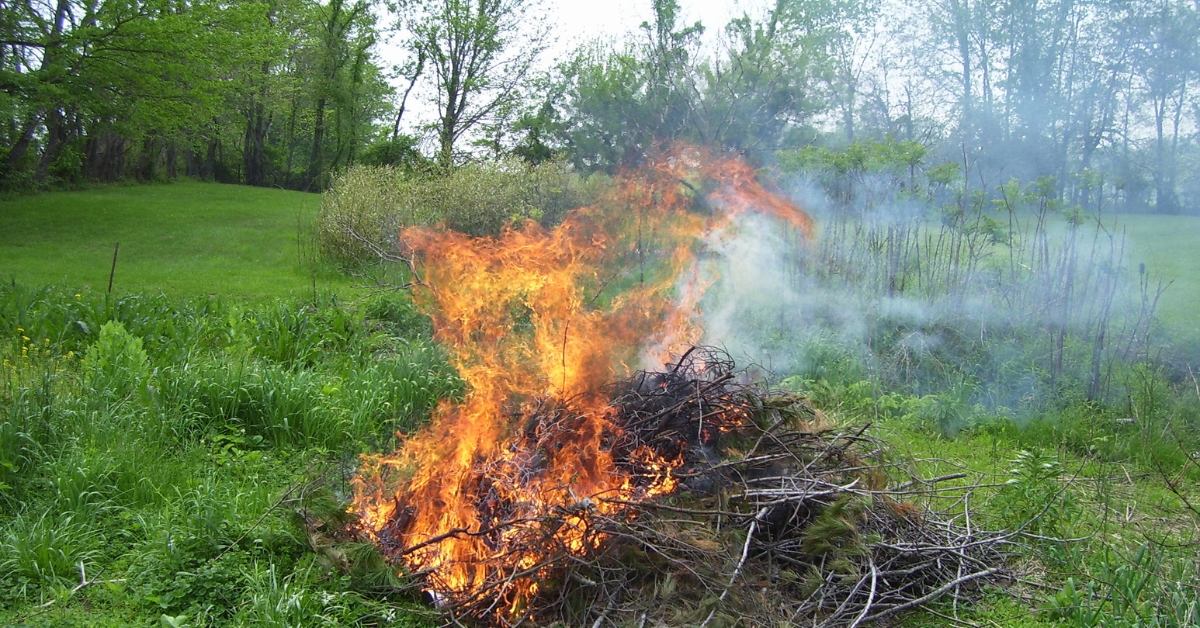 Peut-on encore brûler des déchets végétaux dans son jardin